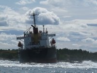 Bellona and Norwegian authorities work to contain oil leak from Friday ...