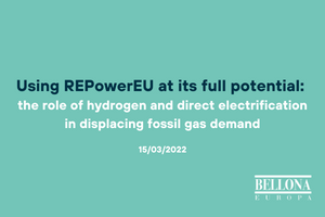 Using REPowerEU at its full potential: the role of hydrogen and direct ...