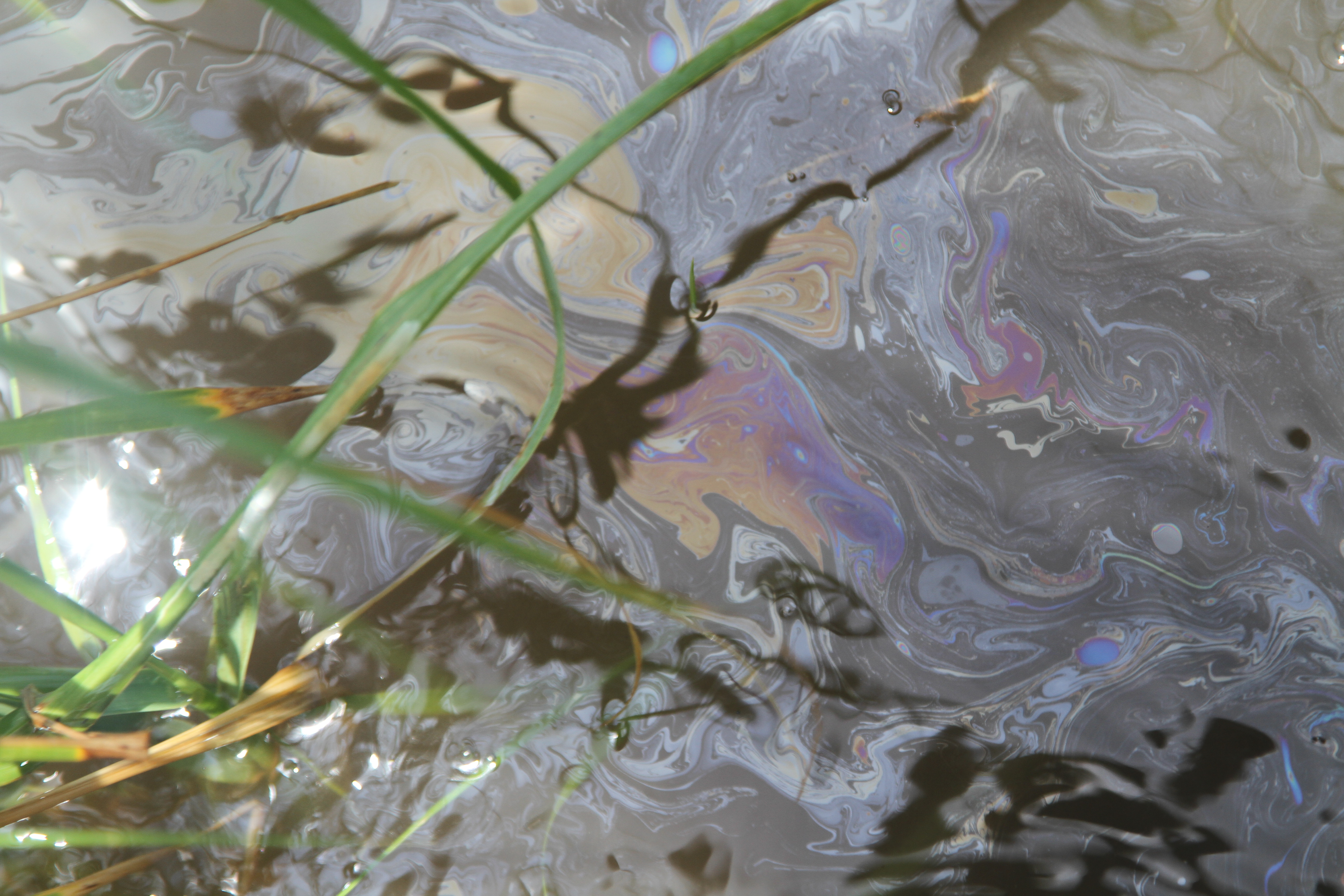 Five years after Deepwater Horizon, frustration fuels discoveries – and ...